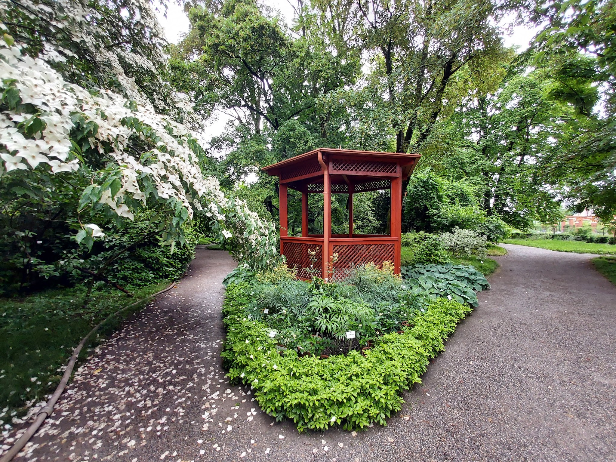 Botanical Garden Pavillion | Hopsa