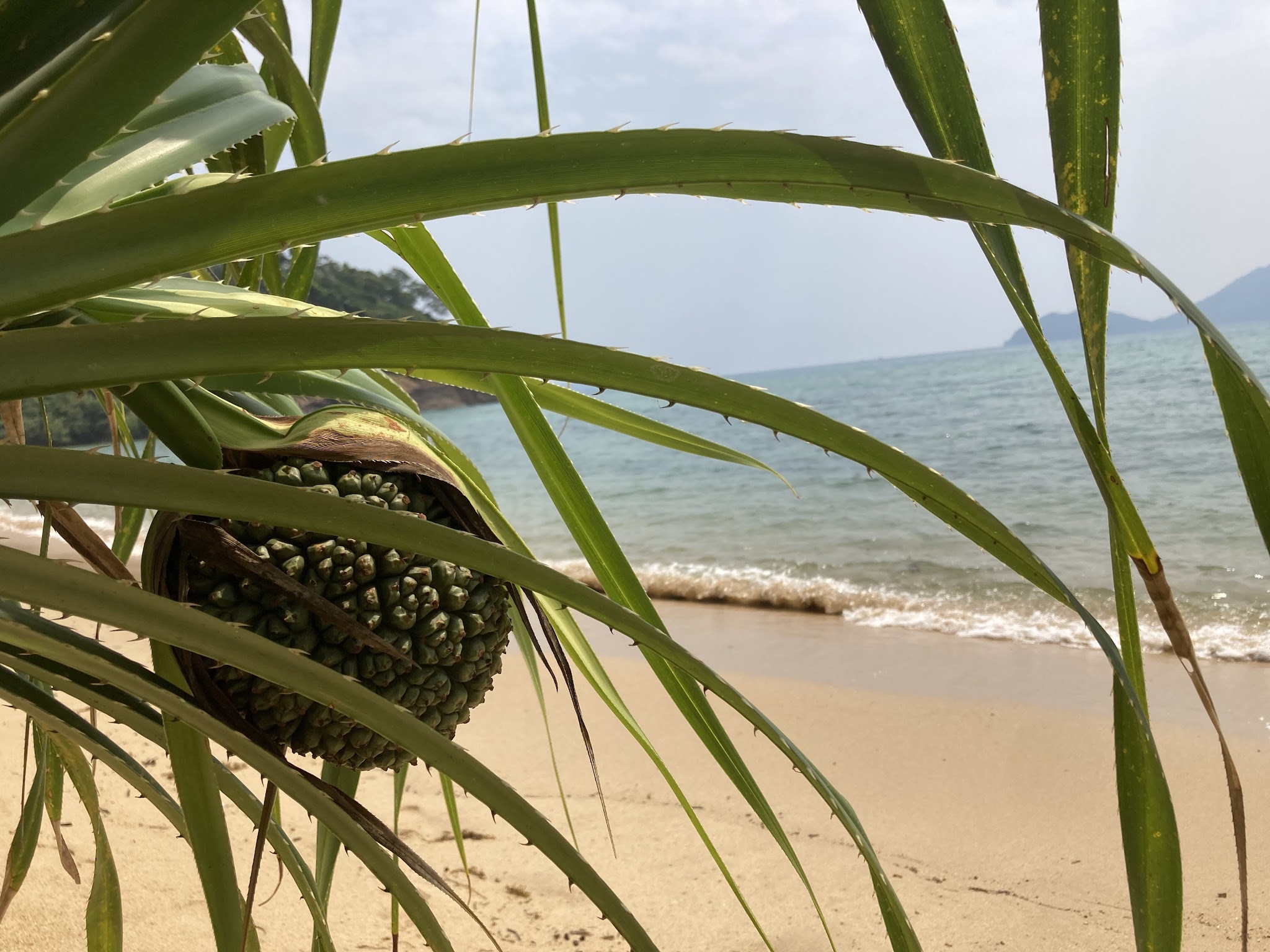 Plaża Wai Chaek | Hopsa