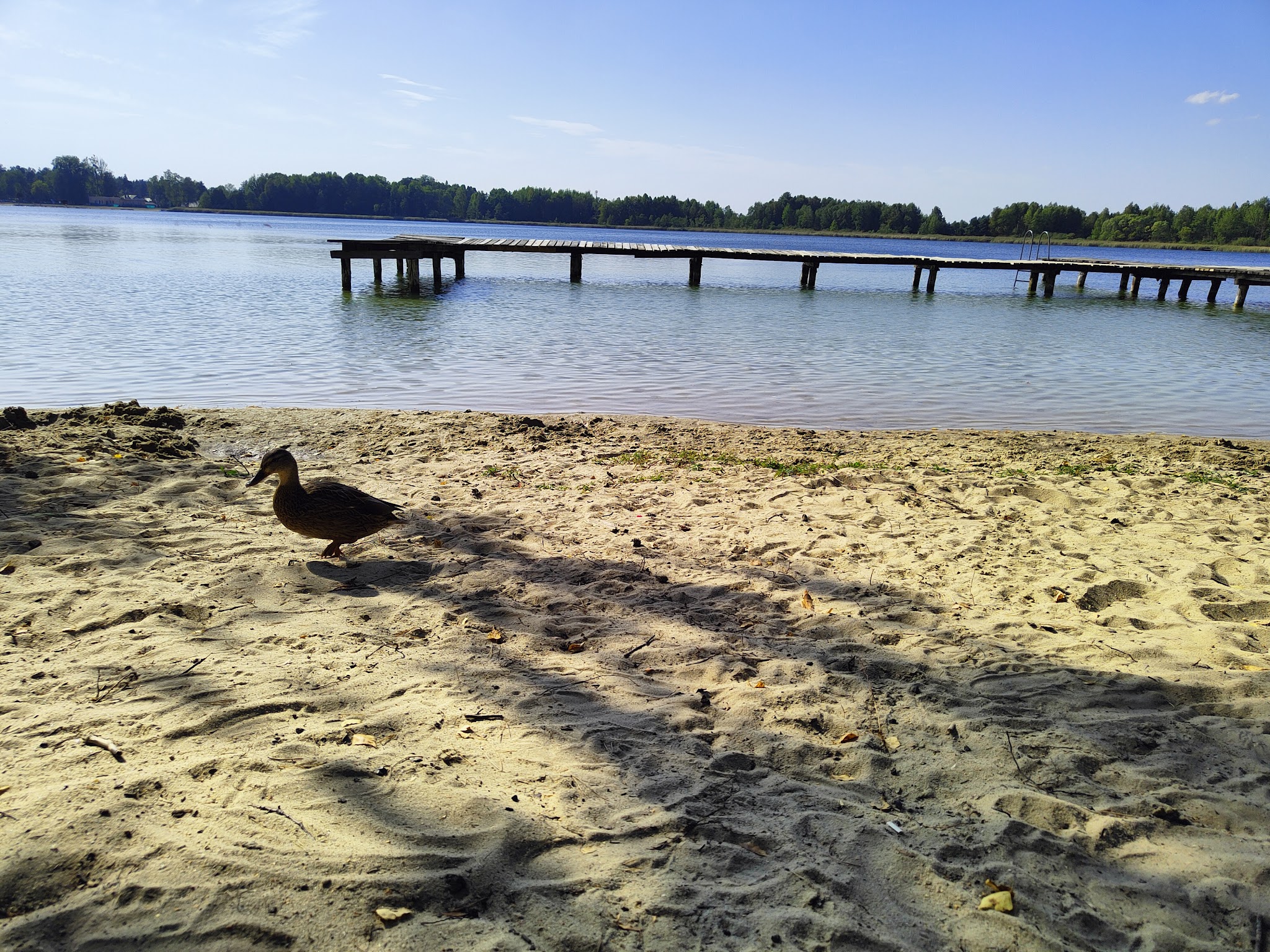 "ELKA" Zakład Usługowo-Handlowy Koperczuk Drozd... | Hopsa