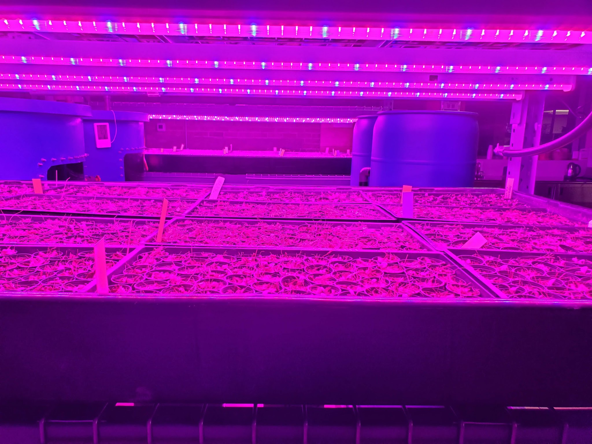 Farm on Ogden | Hopsa