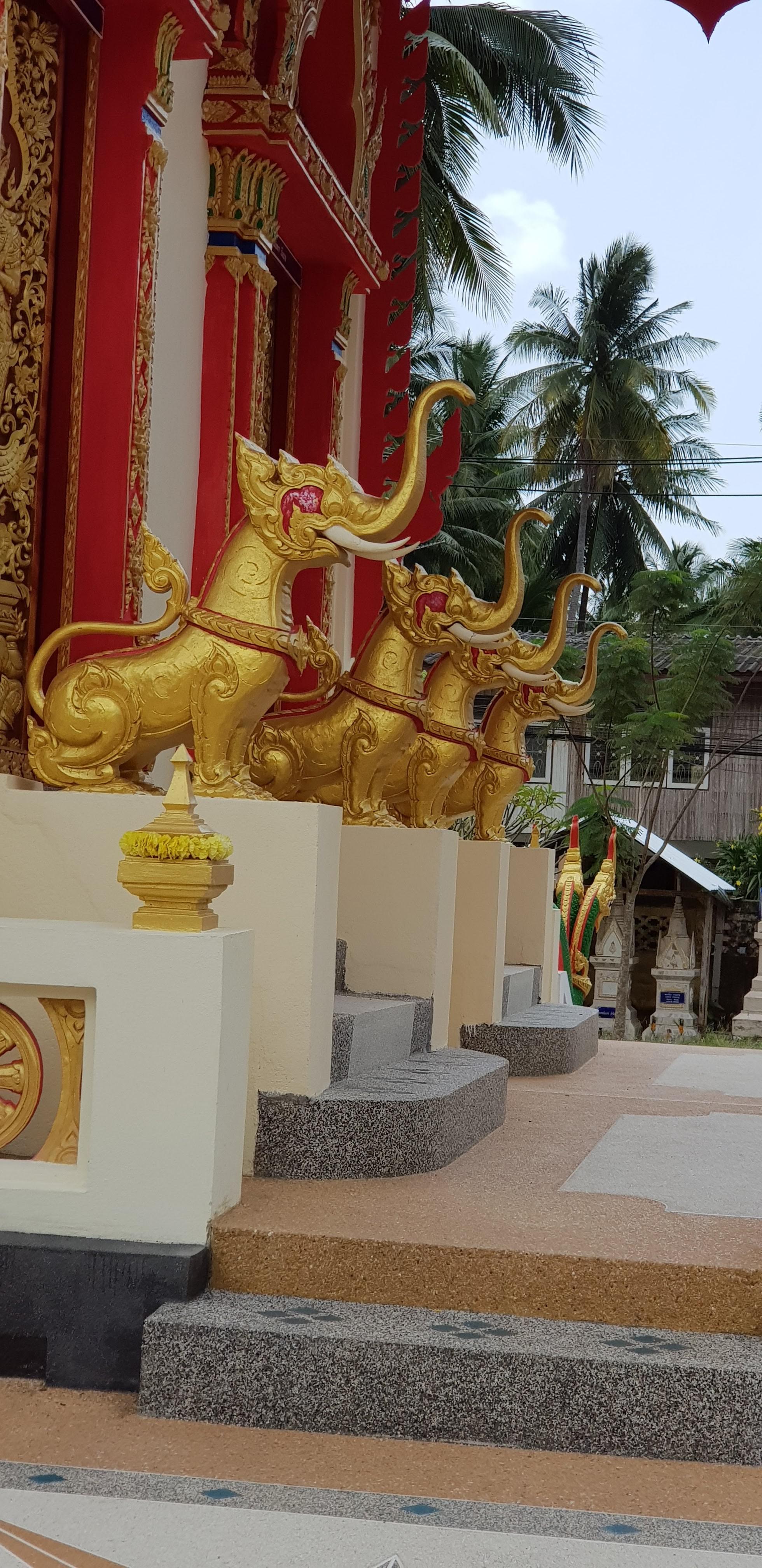 The Elephant Gate | Hopsa