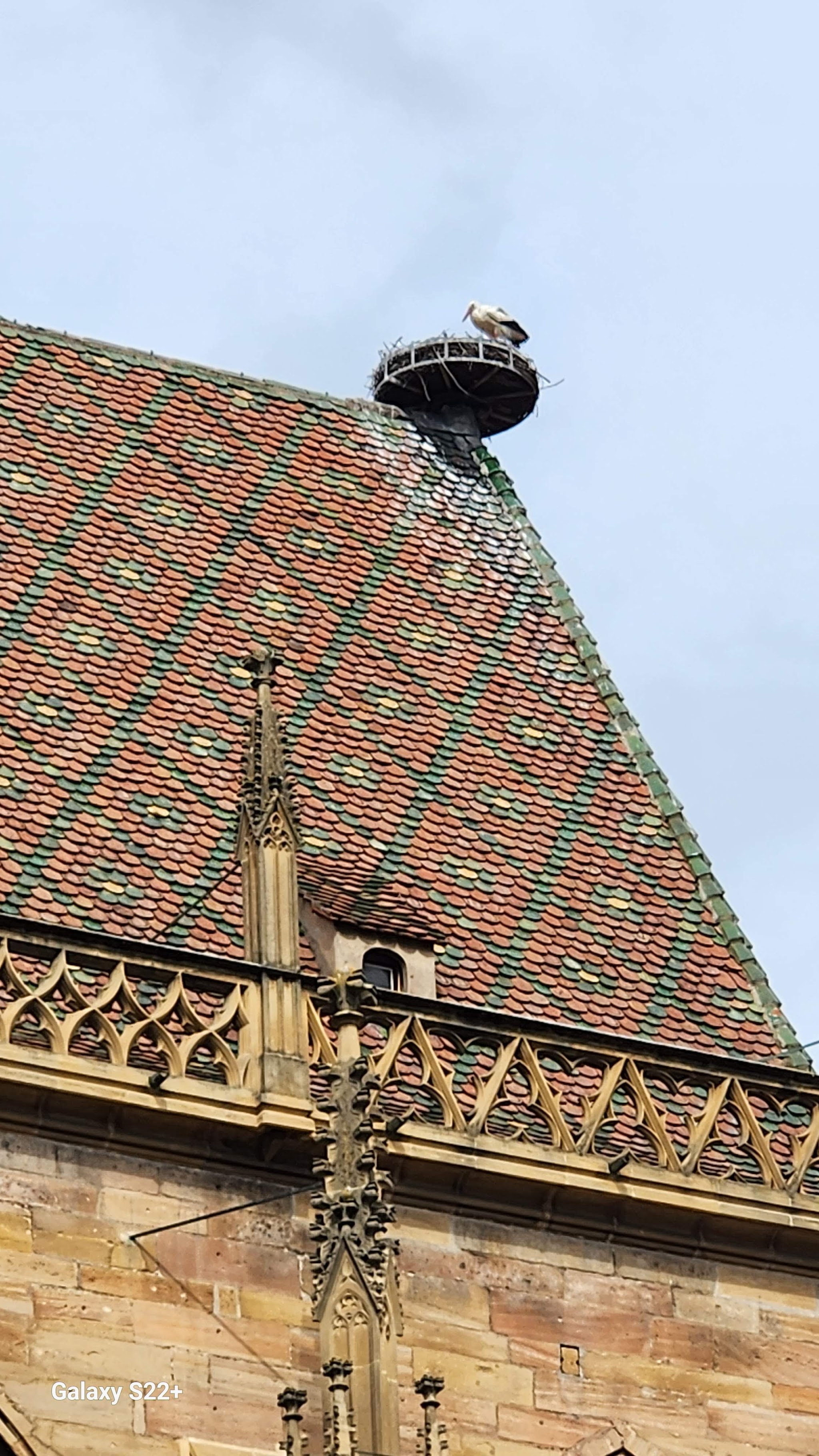Pl. de la Cathédrale | Hopsa
