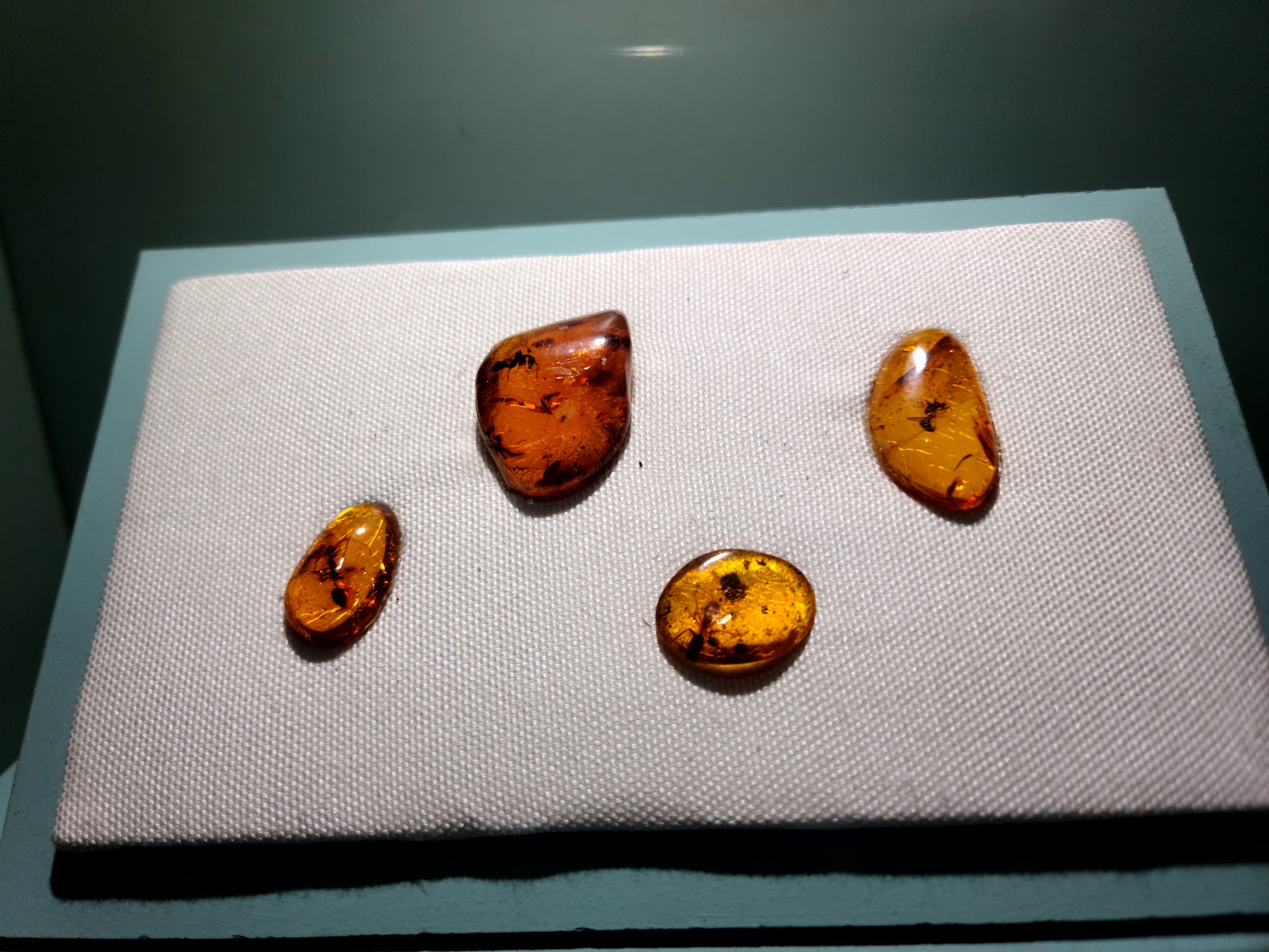 Amber World Museum | Hopsa