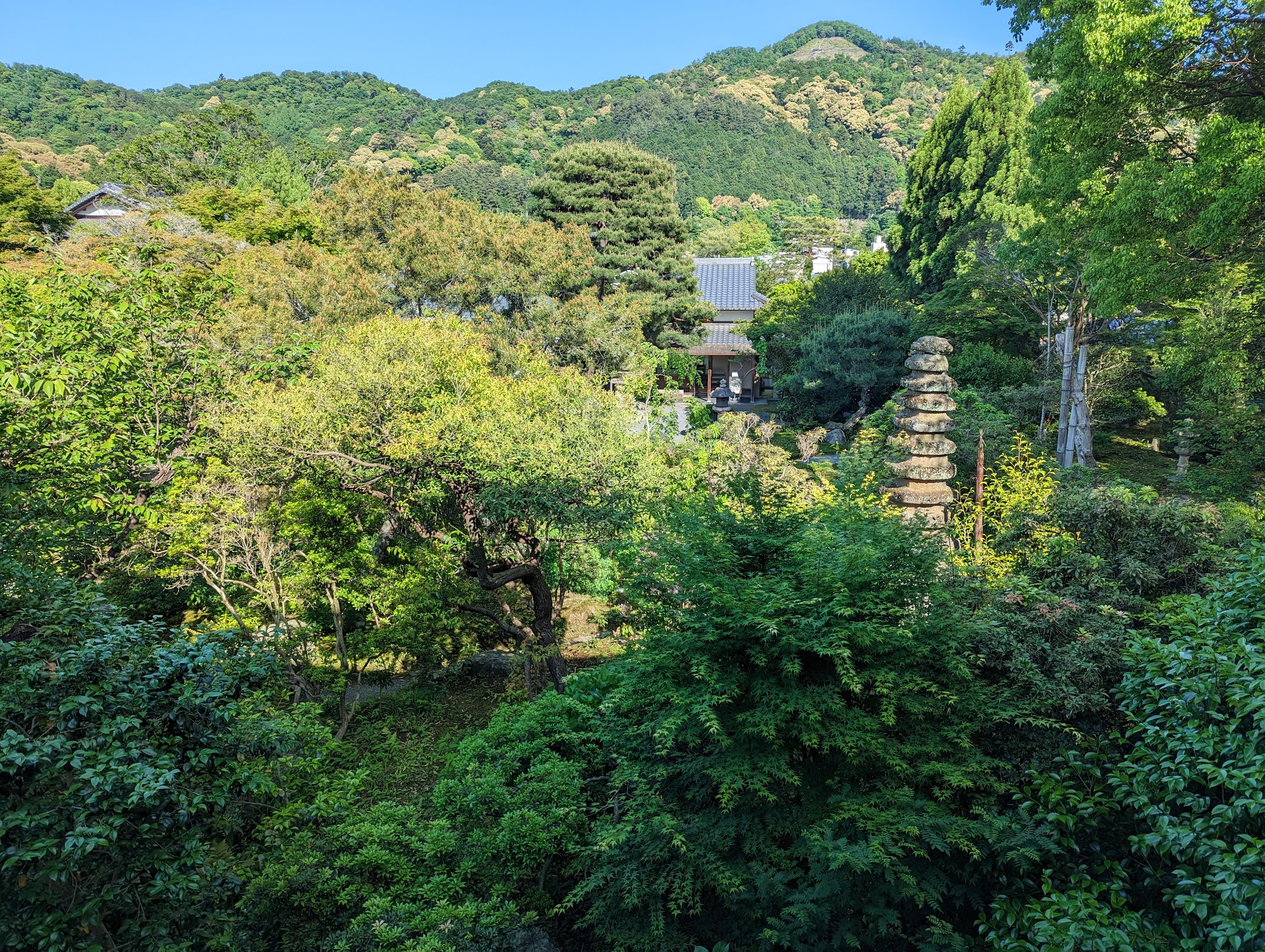 Hakusa Sonso Hashimoto Kansetsu Garden & Museum | Hopsa
