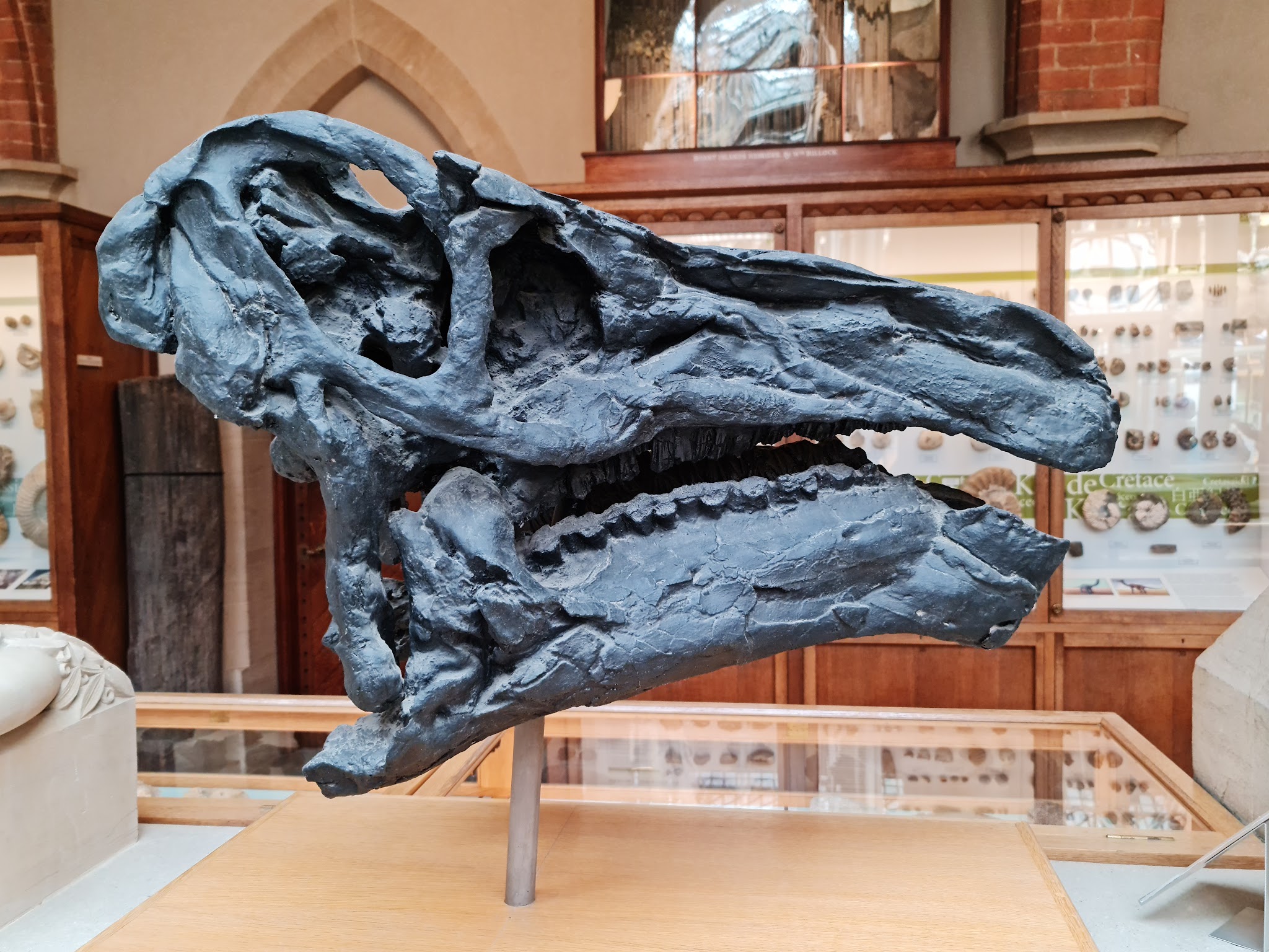 Pitt Rivers Museum | Hopsa