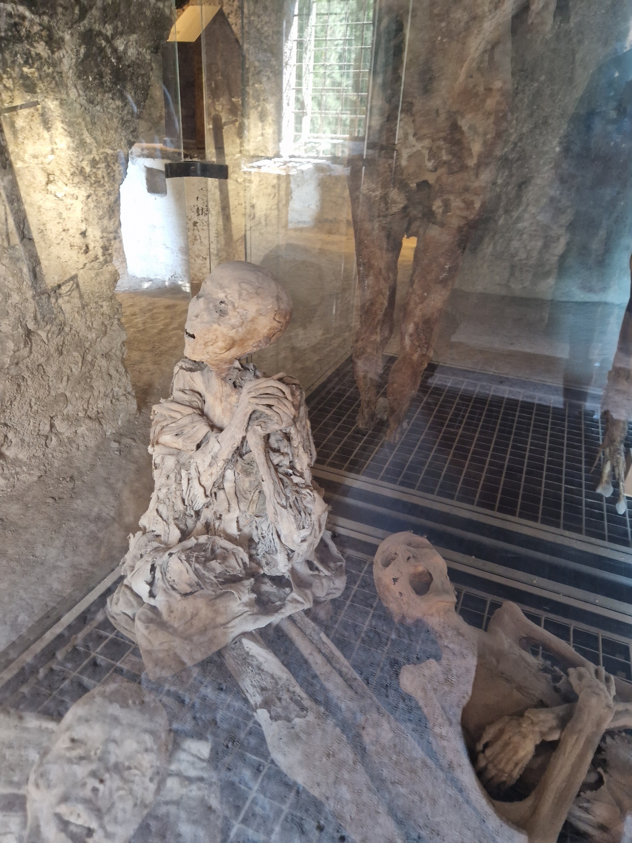 Crypt - Museum of the Mummies | Hopsa