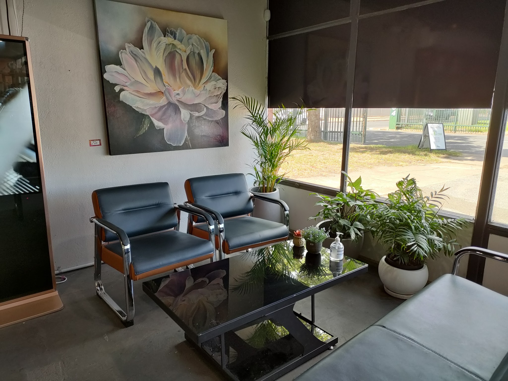 Bottle Tree Cafe, Garden & Aquarium | Hopsa