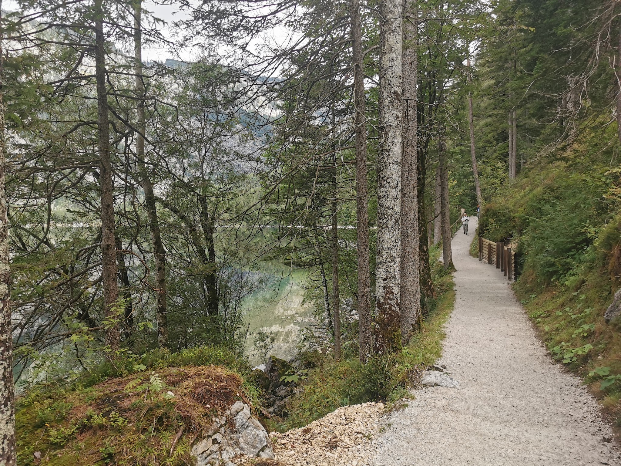 Hiking Trail Altausseer See Hopsa