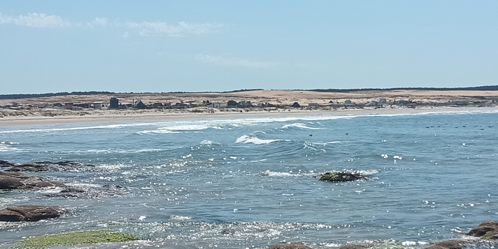 Reserva de Lobos Marinos de Cabo Polonio | Hopsa