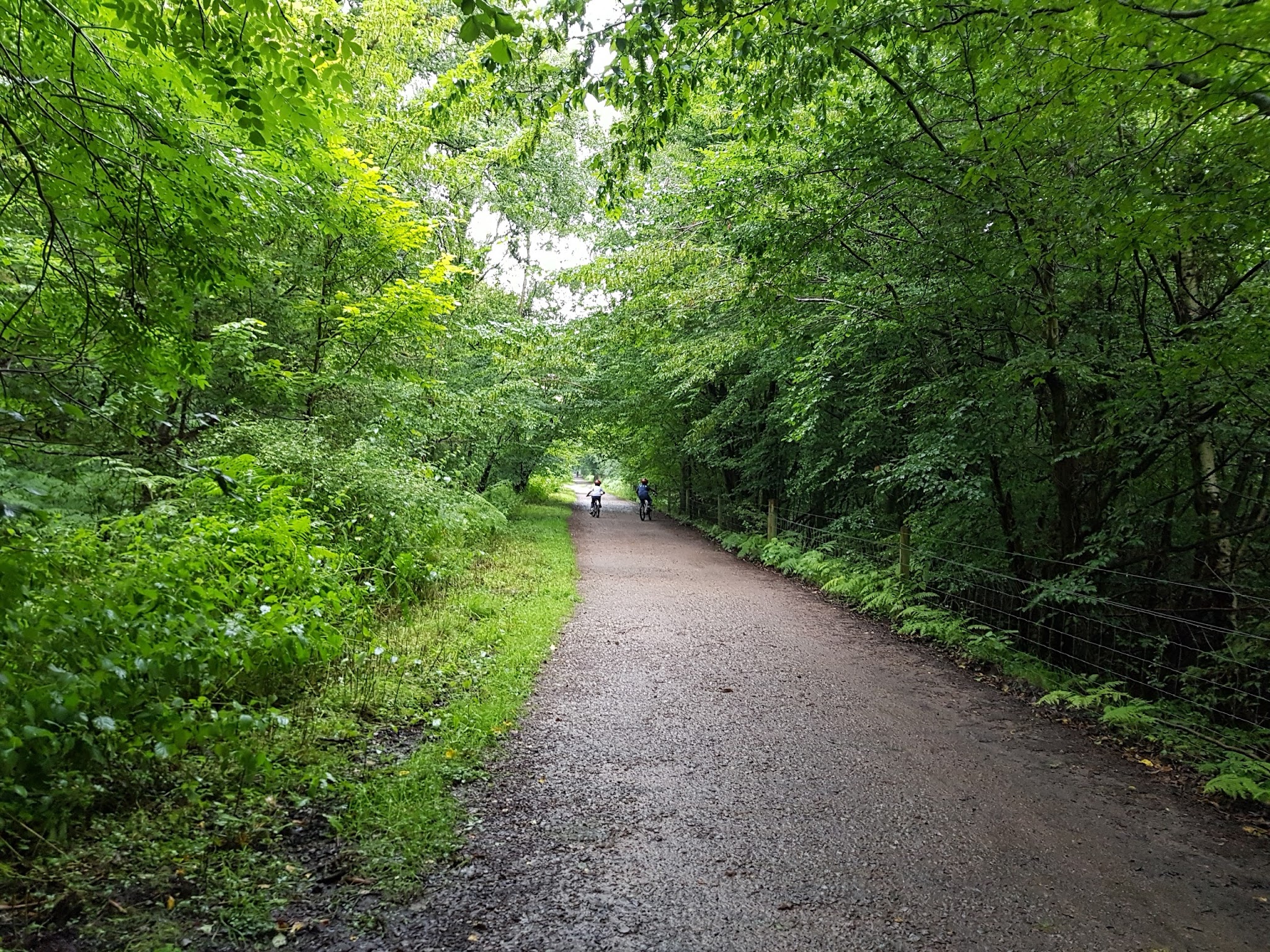 Forest of Dean Cycle Centre | Hopsa
