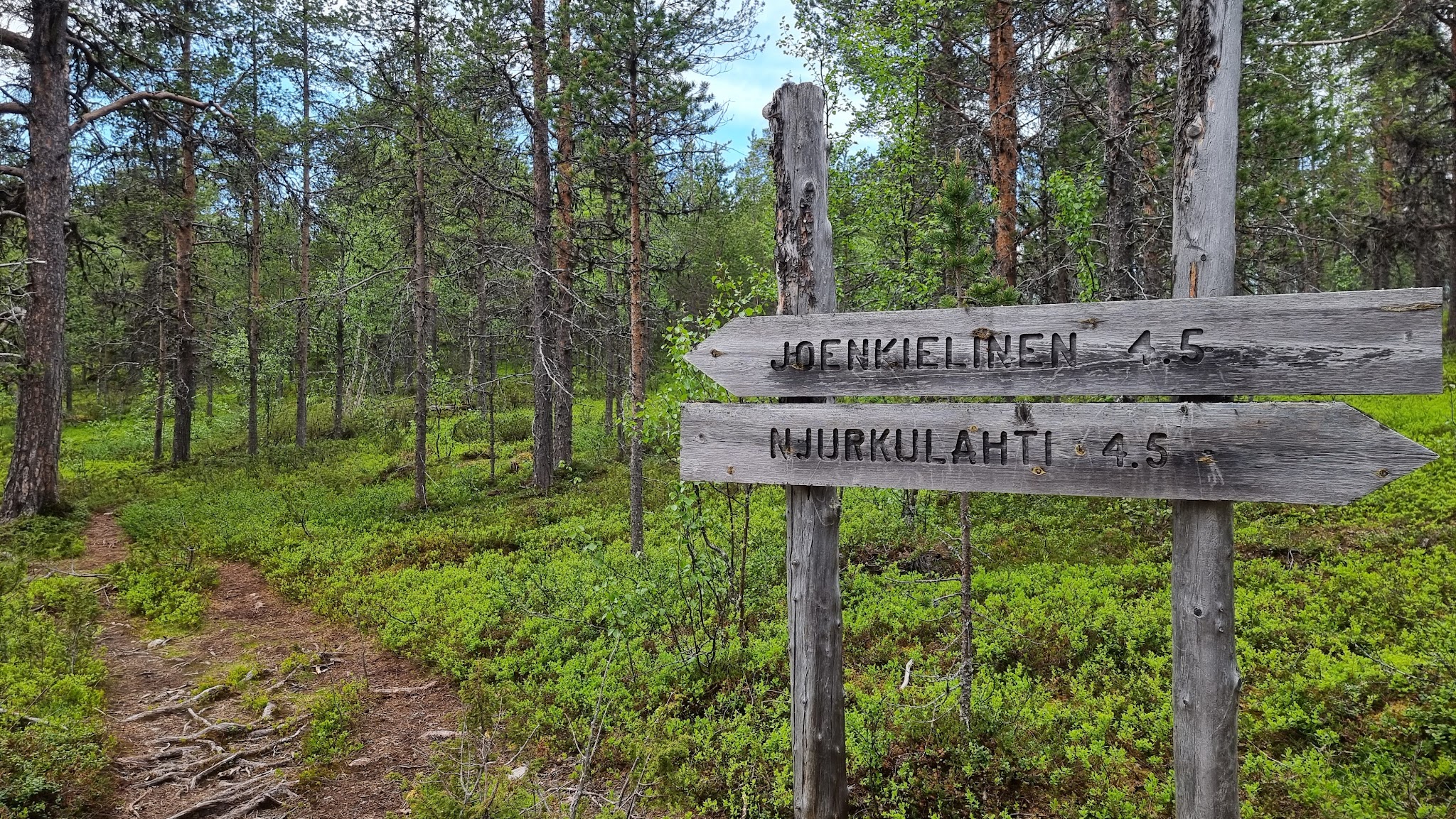 Park Narodowy Lemmenjoki | Hopsa