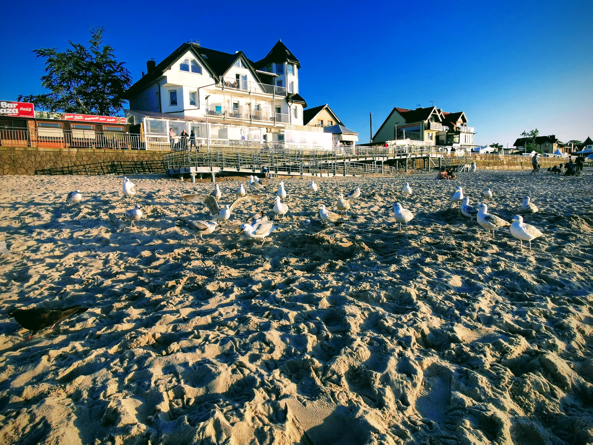 Sarbinowo, plaża | Hopsa