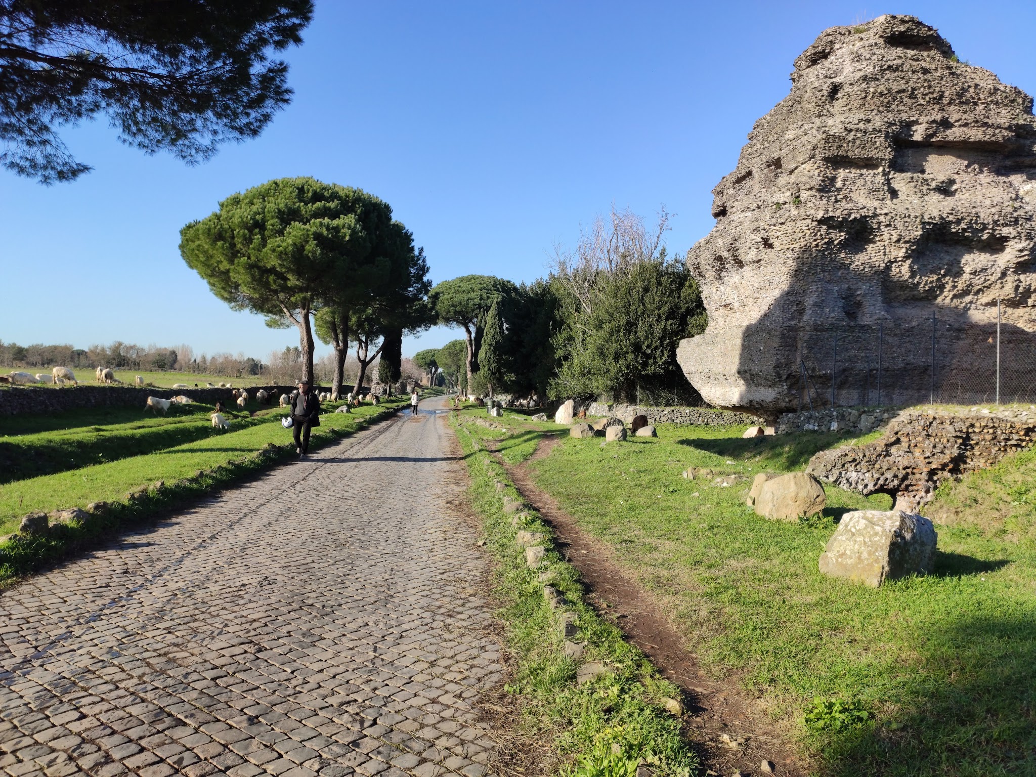 Santa Maria Nova Complex | Hopsa