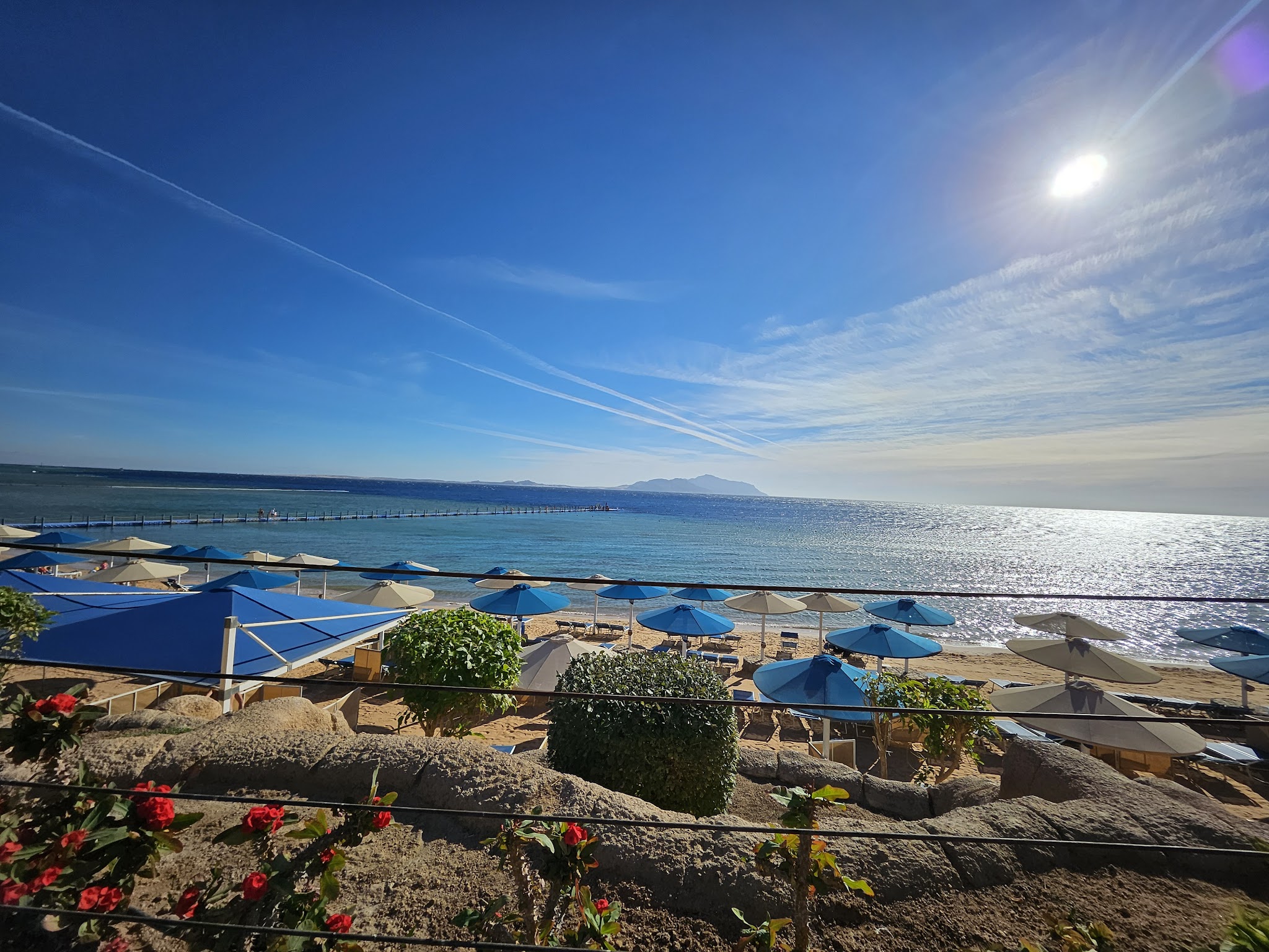 Tui Fun&Sun Albatros Palace | Hopsa