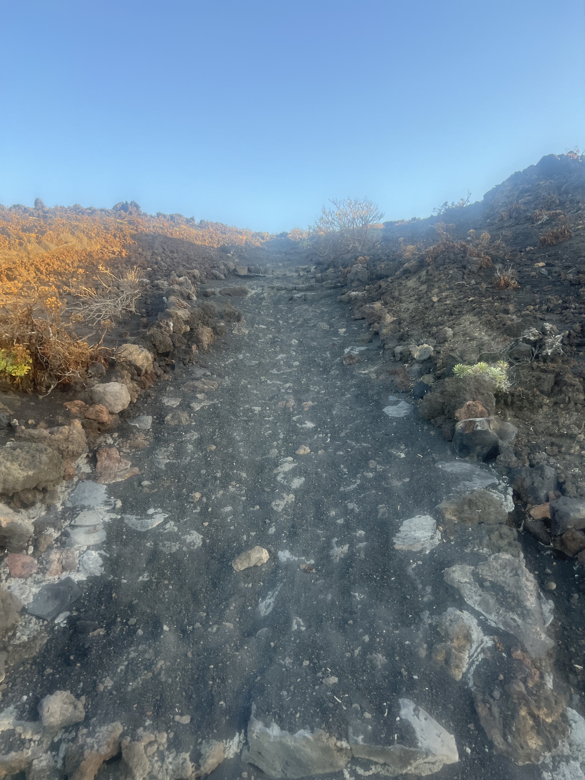 Camino Natural de La Palma | Hopsa