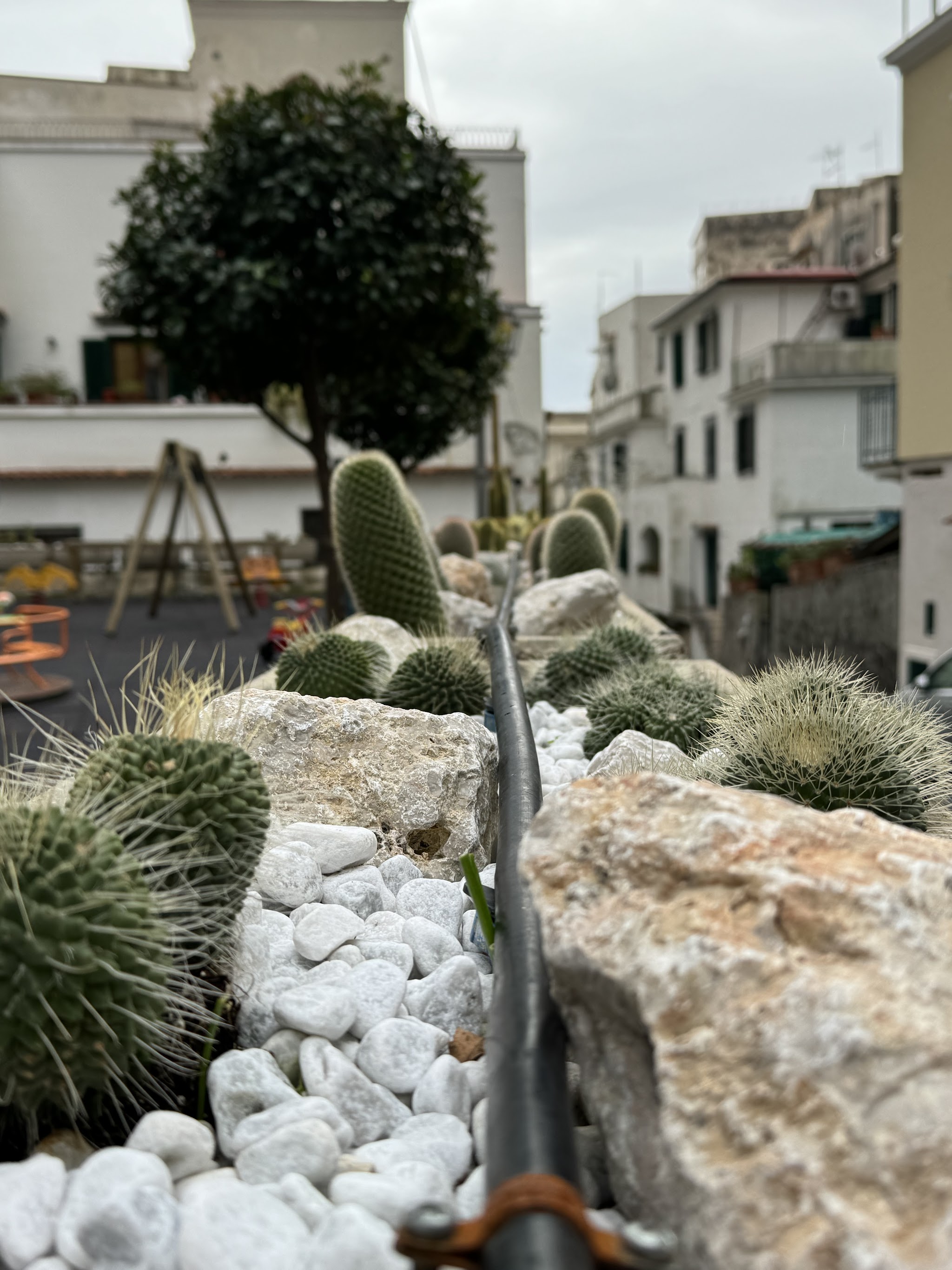 Municipio | Hopsa