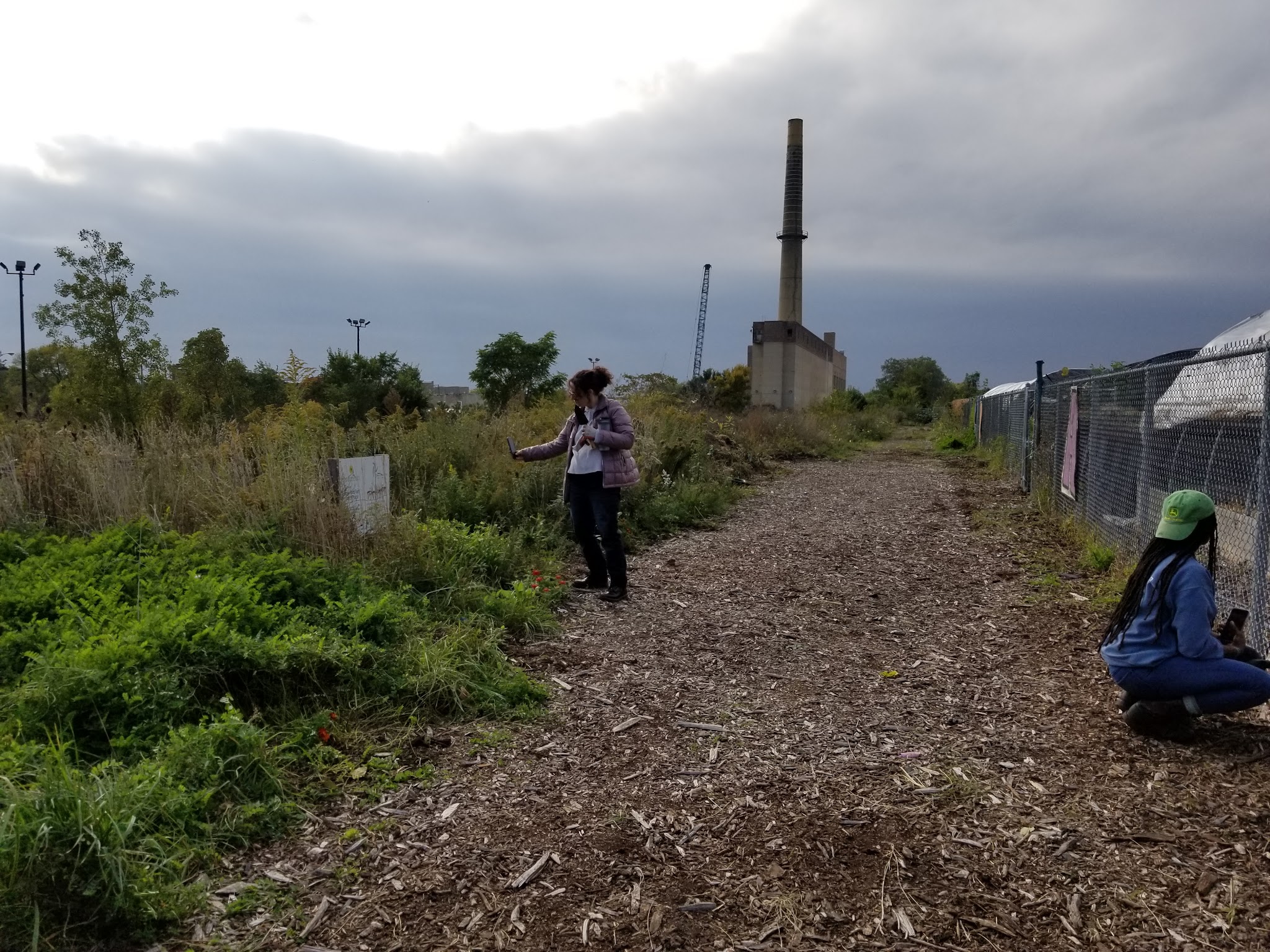 Homan Rails Farm | Hopsa