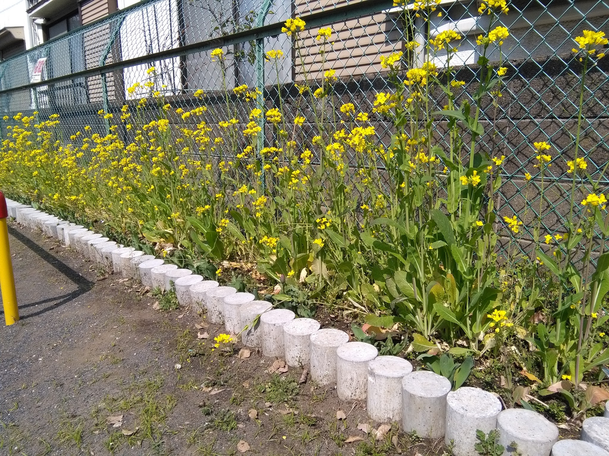 Kyomachi Park | Hopsa