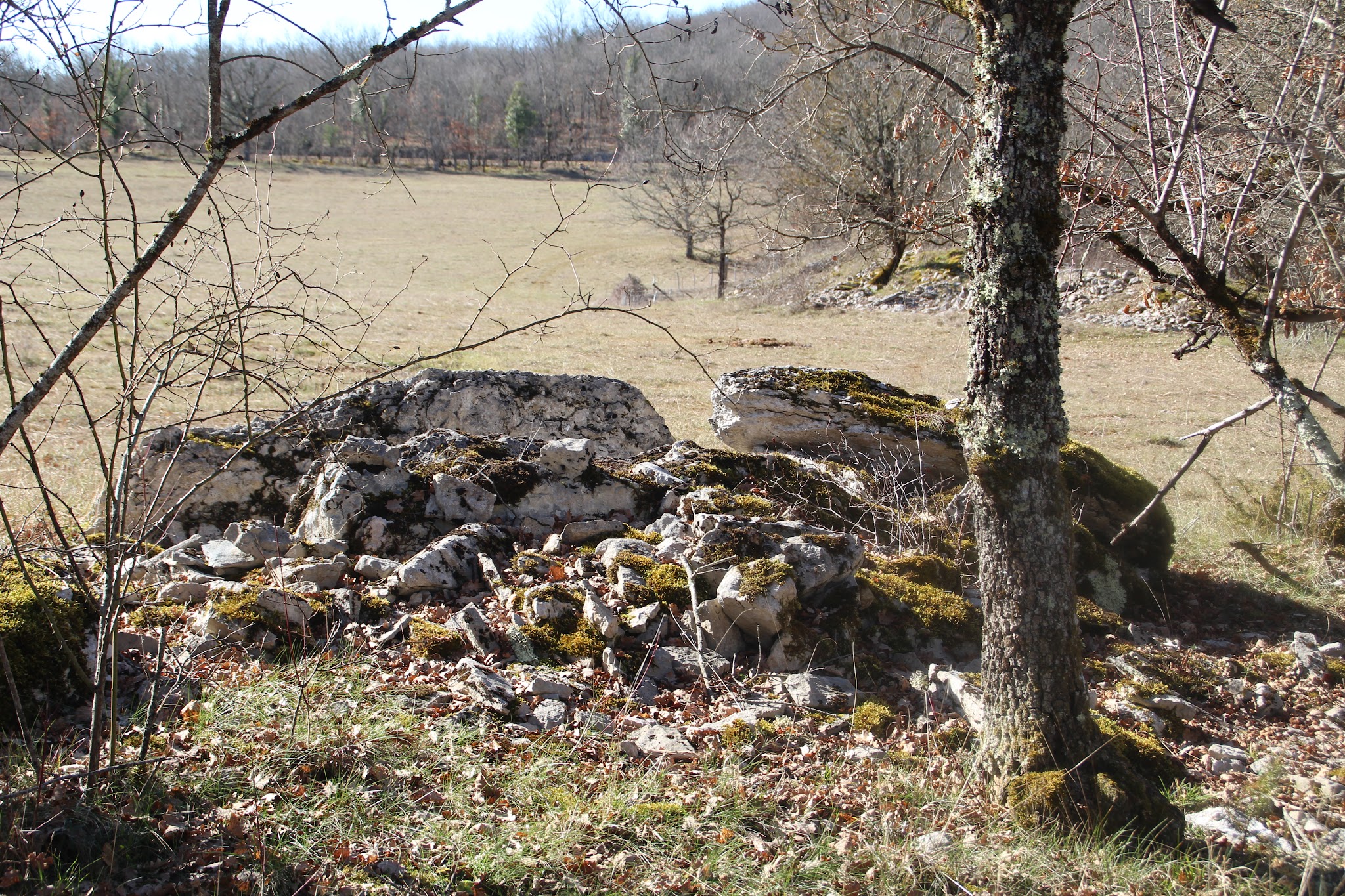 Dolmen de la Combe de Saule n°1 | Hopsa