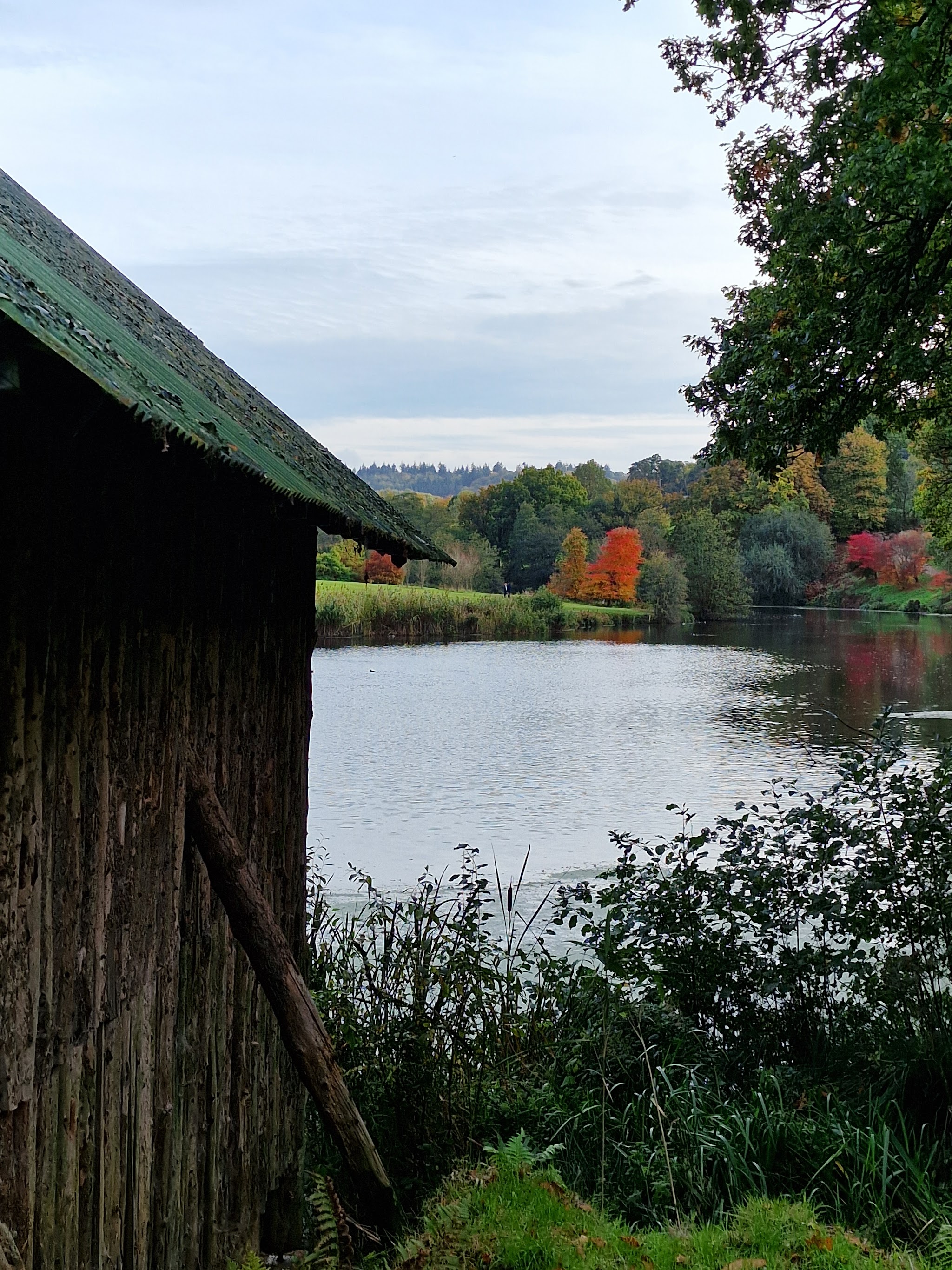 National Trust - Winkworth Arboretum | Hopsa